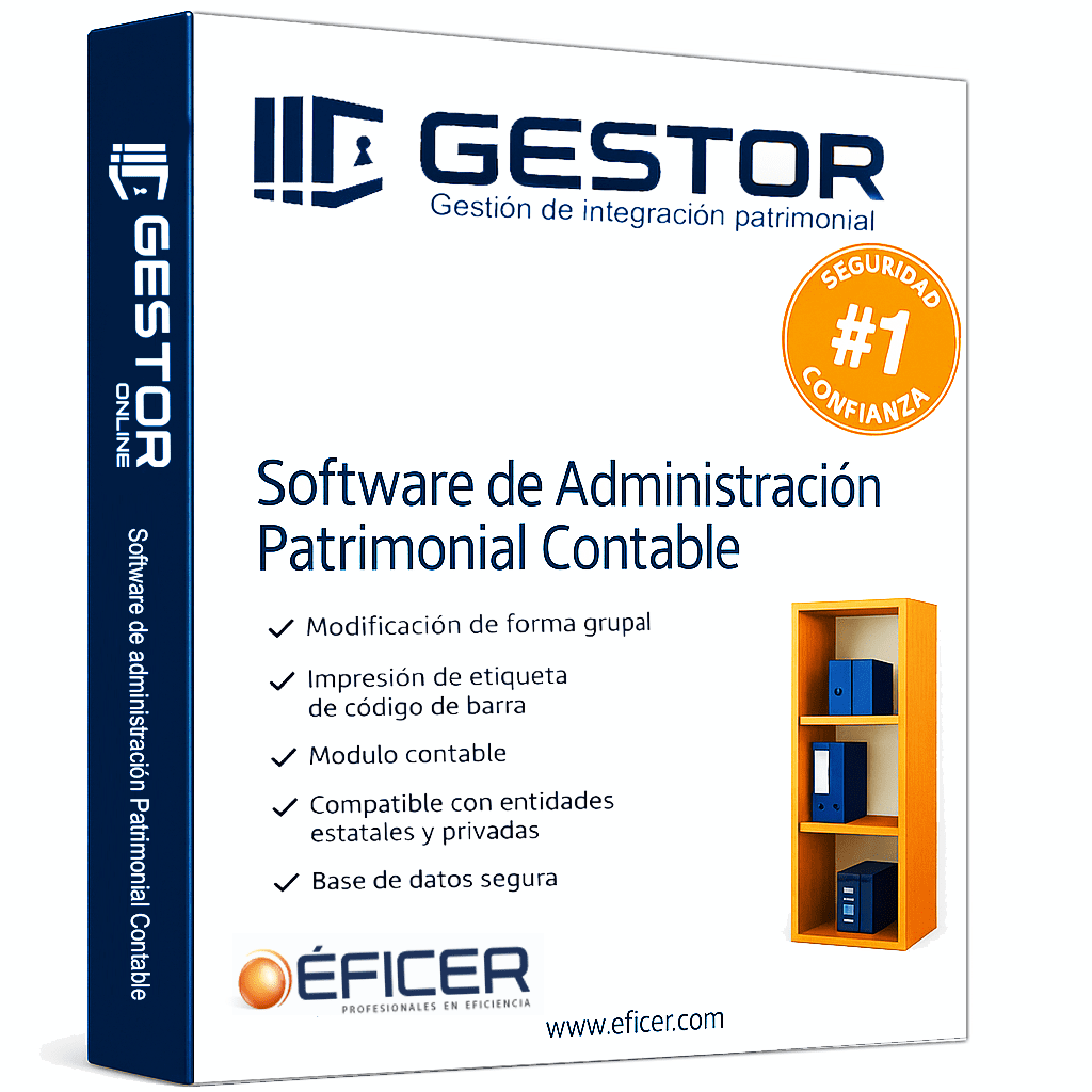 Sistema de control patrimonial - ADMINISTRACIÓN PATRIMONIAL – EFICER